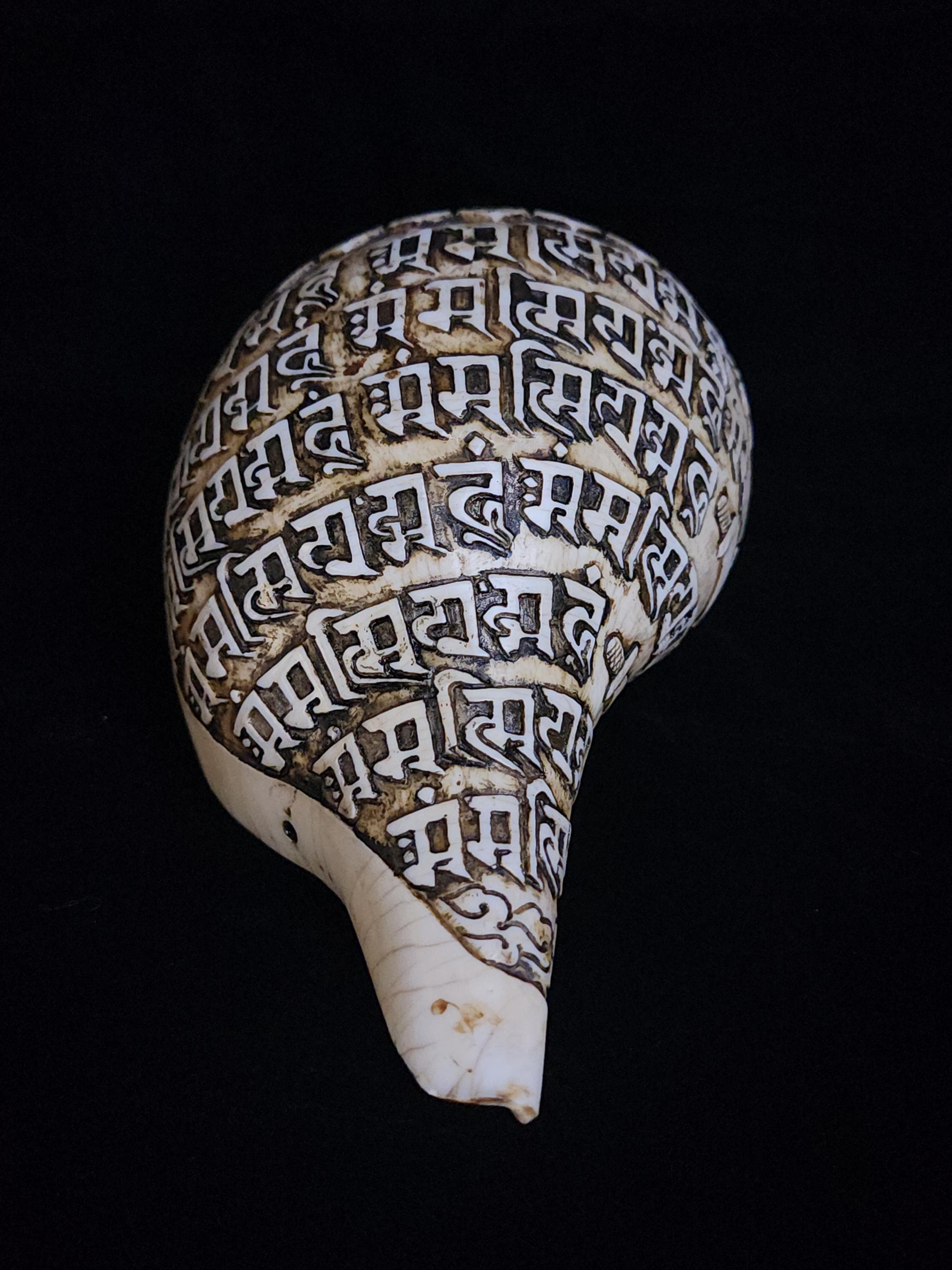 Vintage Conch With Buddhist Script Carved | Rare Conch Shell | Vintage ...