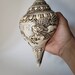 Vintage Conch Shell Antique Style Conch Shell Tibetan Buddhist Ritual ...