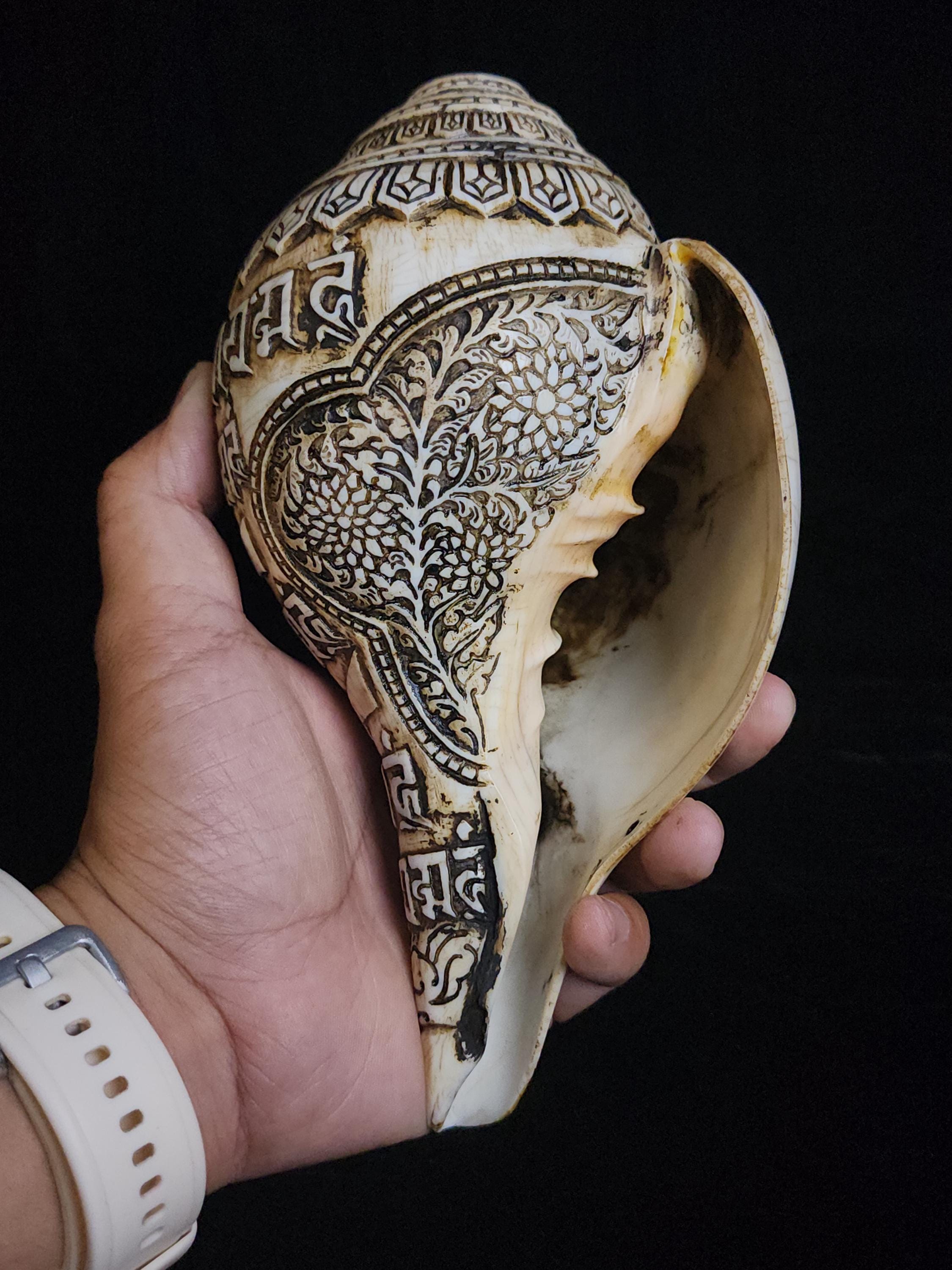 Vintage Conch With Buddhist Script Carved | Rare Conch Shell | Vintage ...