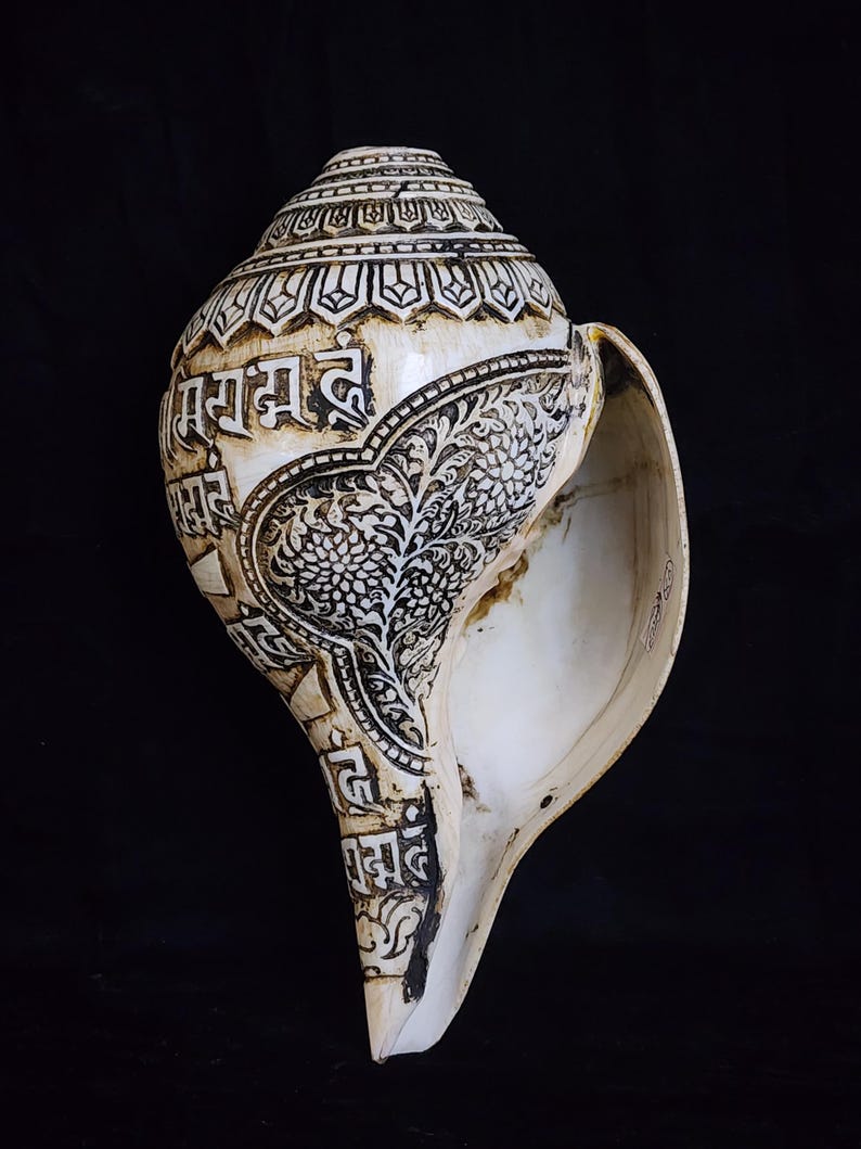 Vintage Conch With Buddhist Script Carved | Rare Conch Shell | Vintage ...