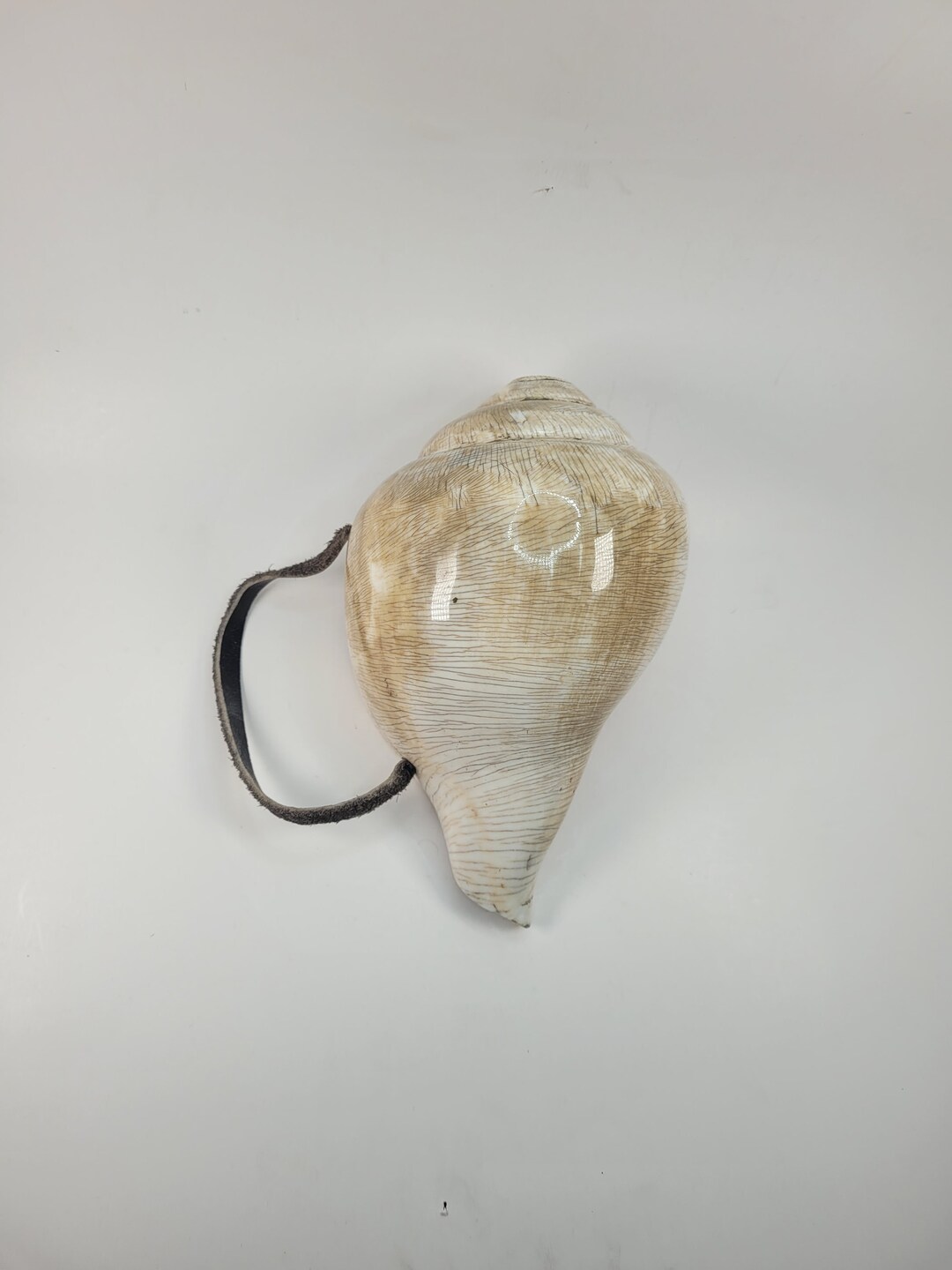 Vintage Conch Shell | Buddhist Ritual Musical Instrument | - Etsy