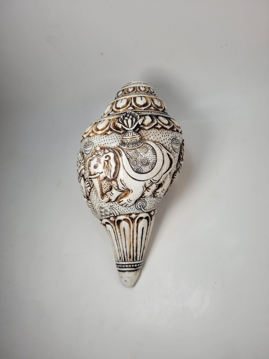Vintage Conch Shell | Elephant Design Conch Shell | Antique Style Conch ...