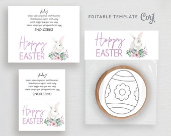 Paint Your Own Easter Egg Cookie Kit - Etsy