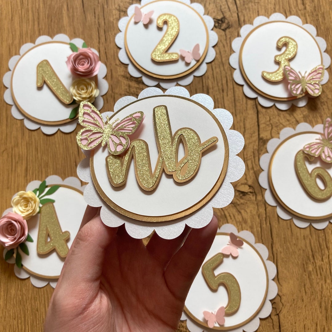 Butterfly Monthly Banner, Baby Milestone Banner, Butterfly Birthday ...