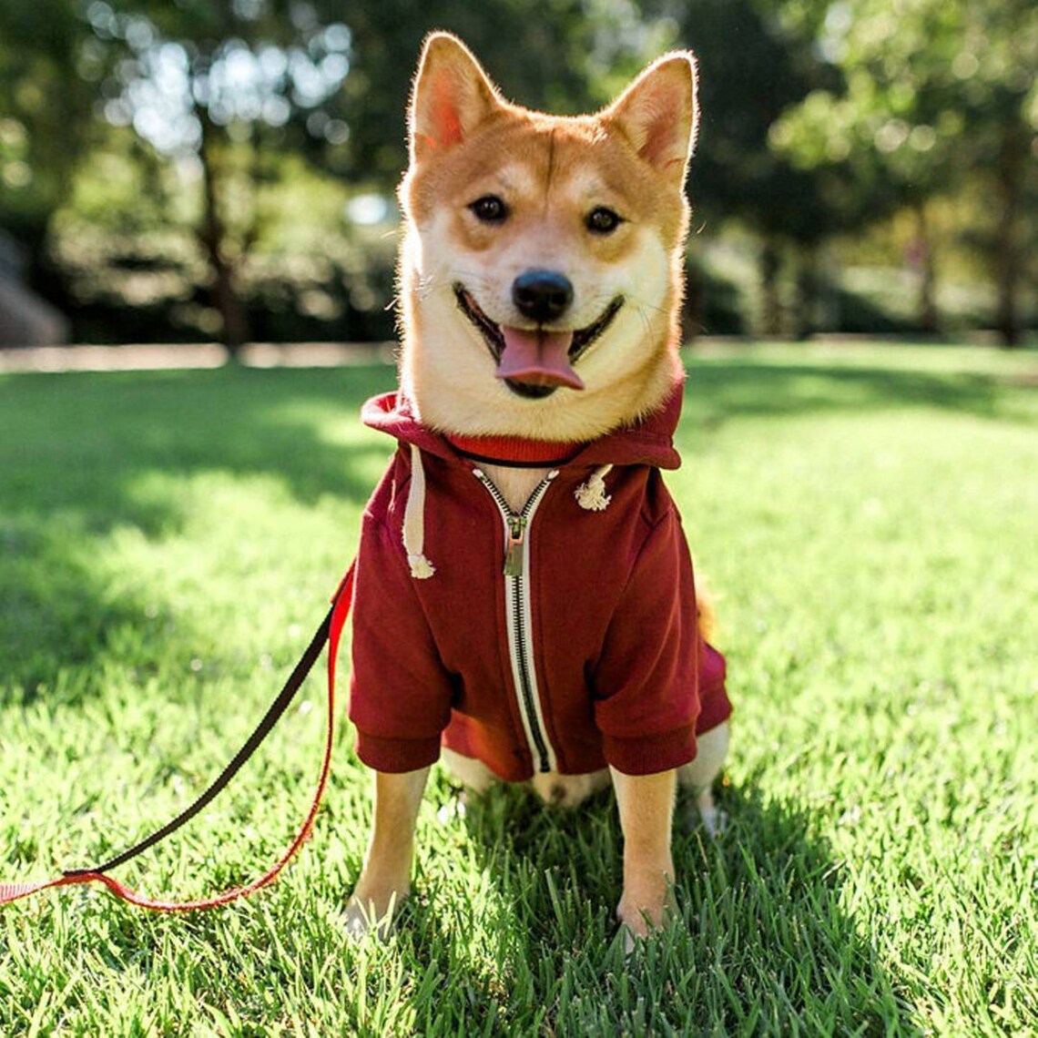 Red Dog Hoodie // Lightweight Dog Coat // Sizes XXS XL // - Etsy