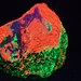 Sweet 4.3lbs SW LW Ultraviolet Fluorescent Hardystonite, Willemite ...
