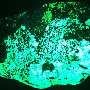 Big Shortwave Fluorescent Esperite Green Willemite & Minor Calcite W ...