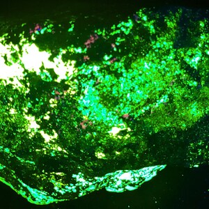 Big Shortwave Fluorescent Esperite Green Willemite & Minor Calcite W ...