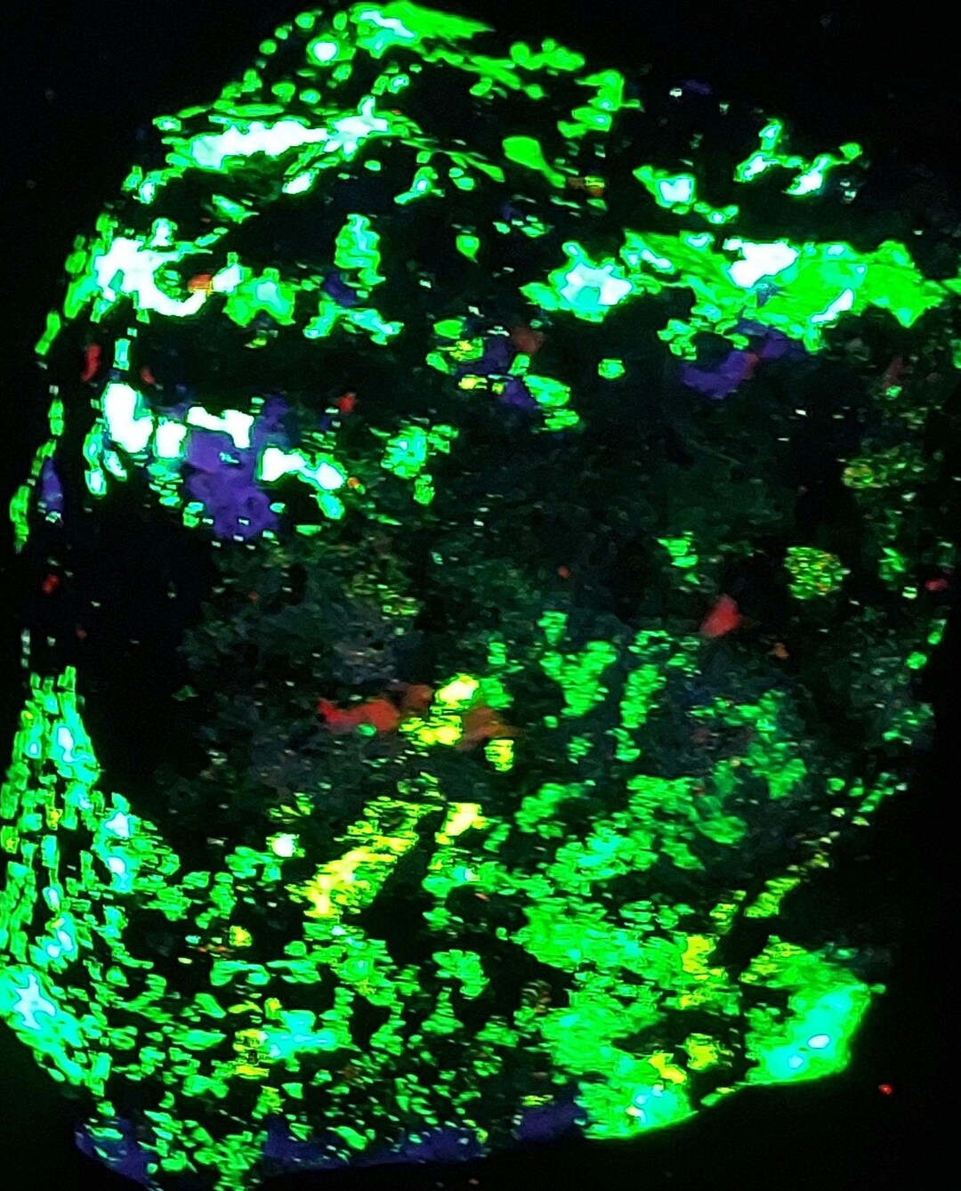 Shortwave Fluorescent 4-color Esperite Willemite Calcite & Hardystonite ...
