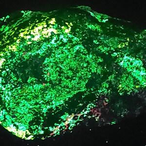 Big Shortwave Fluorescent Esperite Green Willemite & Minor Calcite W ...