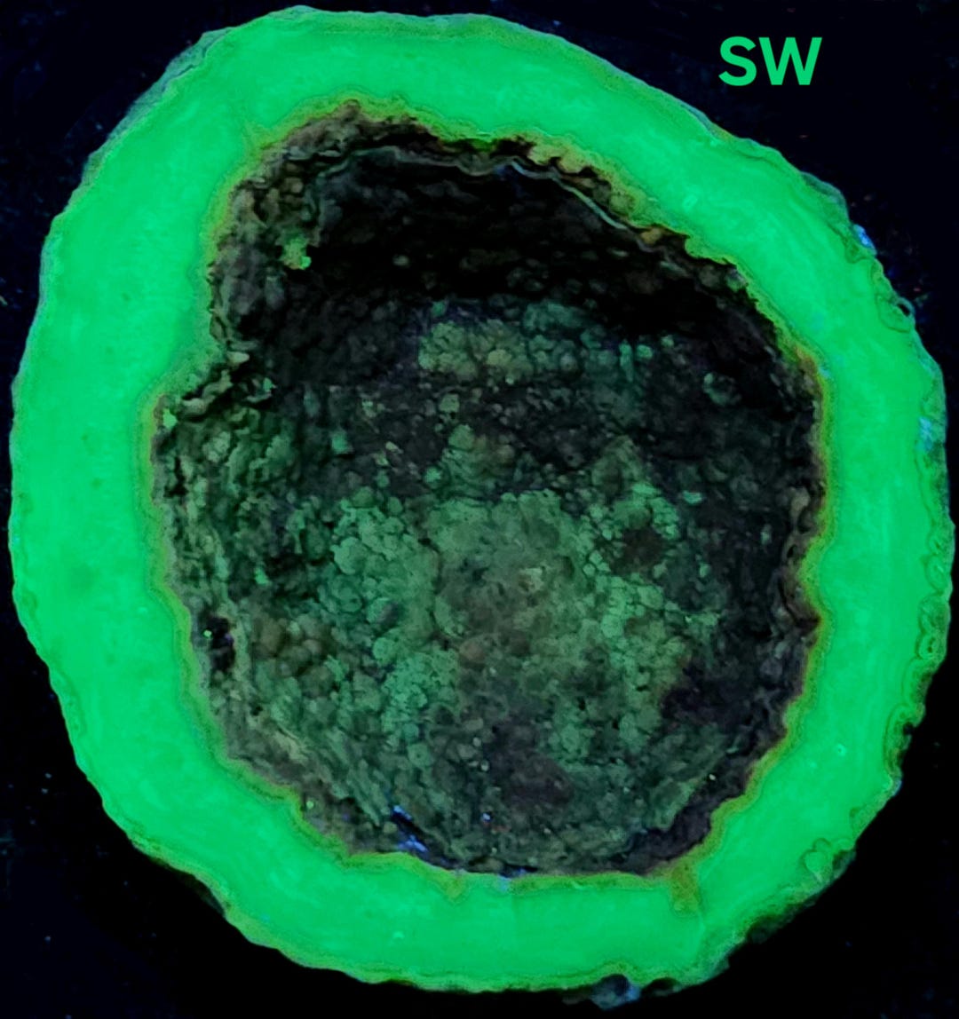 Cut Multiwave UV Fluorescent Agate Geode With Druzy Quartz Crystals ...