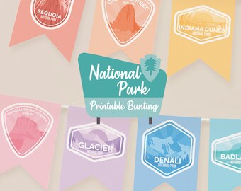 National Park, Camp Theme, Party, Instant Printable, Editable, Digital ...