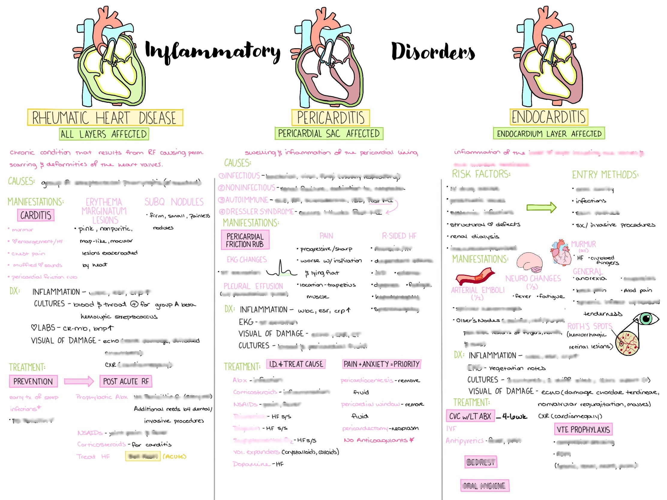 NURSING NOTES Cardiac Nursing Bundle Inflammatory Heart | Etsy