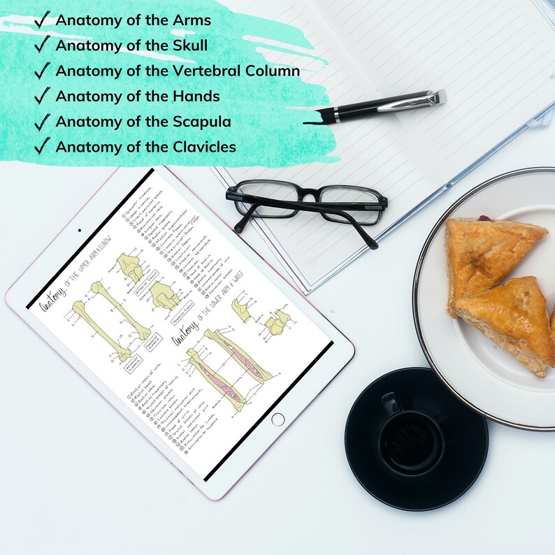 Orthopedic Nursing Notes Bundle | Musculoskeletal System Anatomy ...