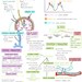 Nervous System Anatomy & Physiology Nursing Notes Bundle | Printable ...