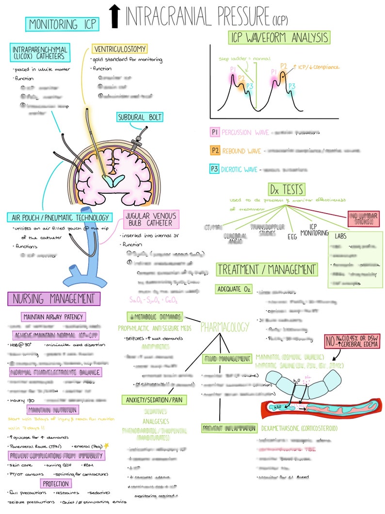 NURSING NOTES Neuro Pathophysiology & Anatomy Nursing Notes | Etsy