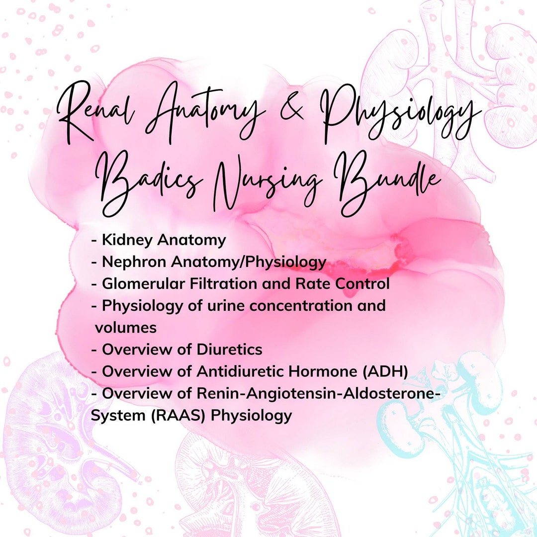 Urinary System Nursing Bundle | Anatomy & Physiology Study Guide ...