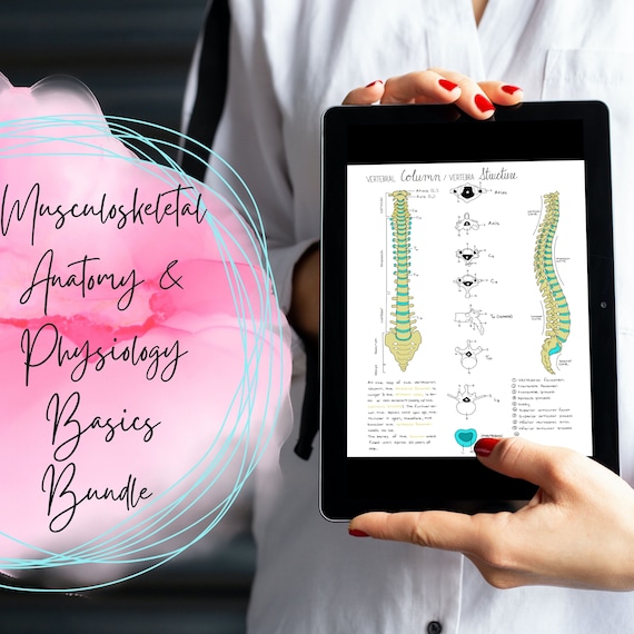 Orthopedic Nursing Notes Bundle Musculoskeletal System - Etsy