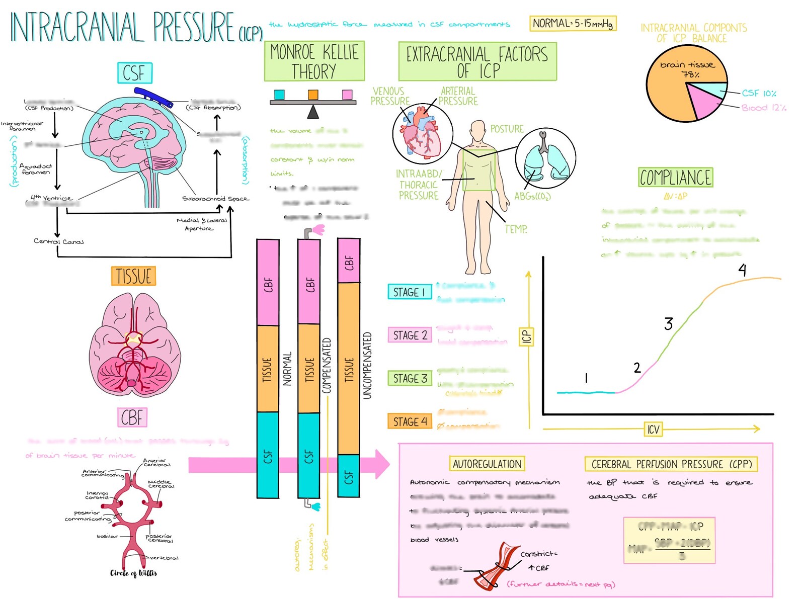 Nervous System Anatomy & Physiology Nursing Notes Bundle | Printable ...