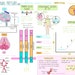 Nervous System Anatomy & Physiology Nursing Notes Bundle | Printable ...