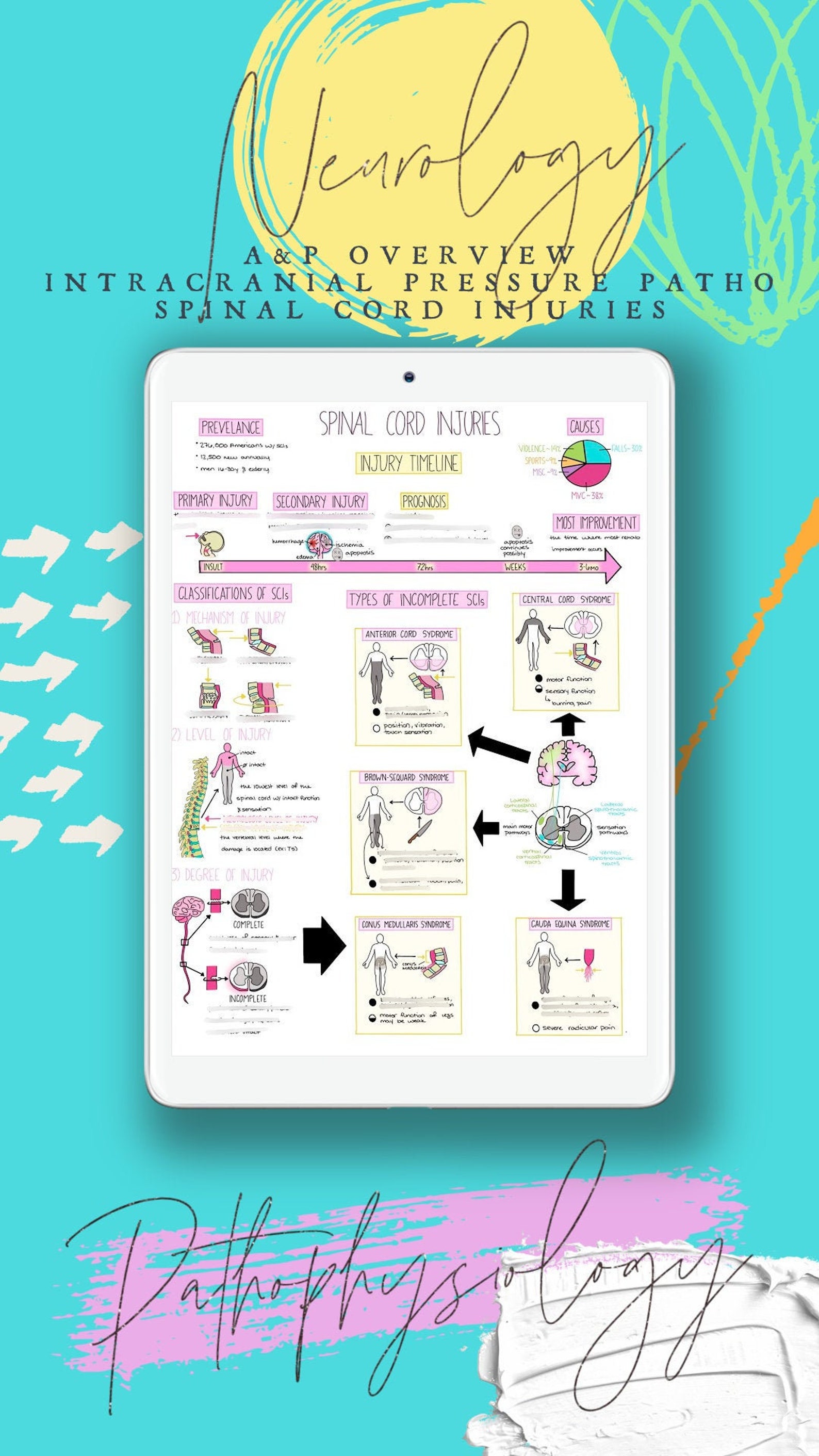 Nervous System Anatomy & Physiology Nursing Notes Bundle | Printable ...