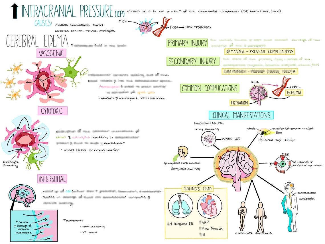 Nervous System Anatomy & Physiology Nursing Notes Bundle | Printable ...