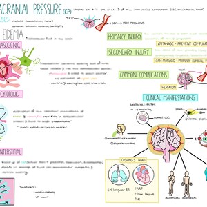 Nervous System Anatomy & Physiology Nursing Notes Bundle | Printable ...