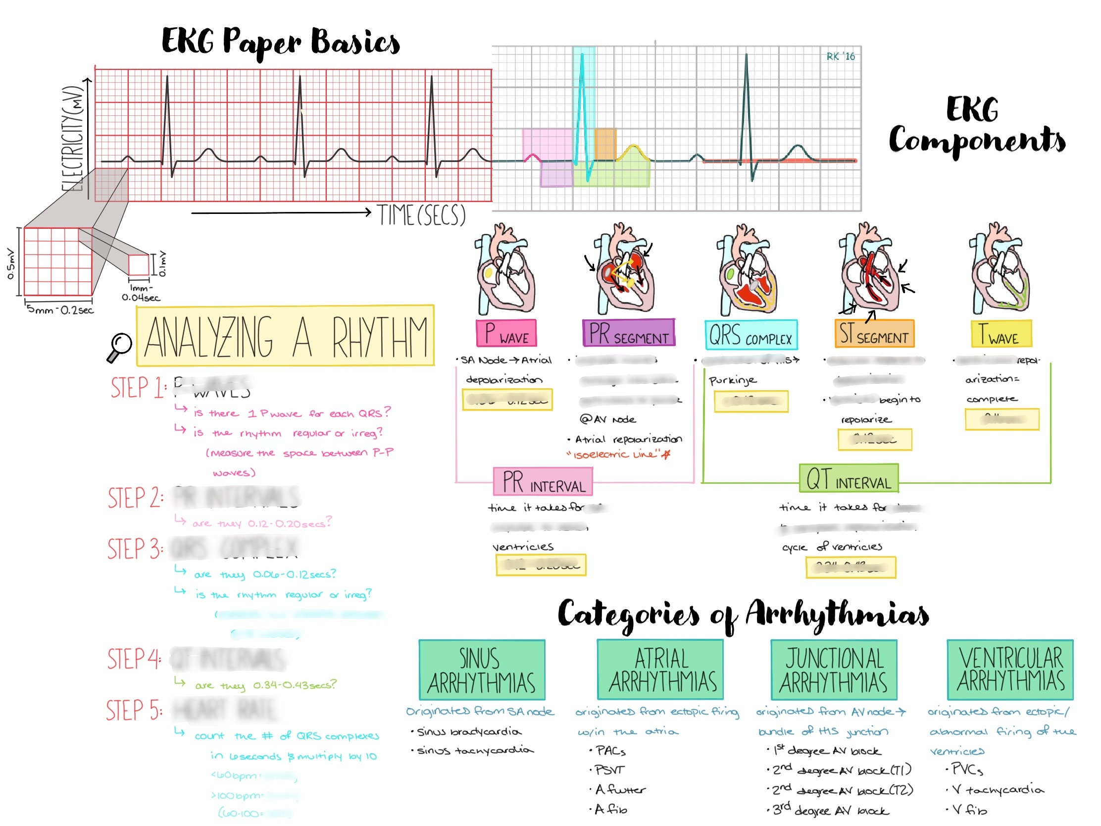 Cardiac Nursing Bundle Cardiovascular System Nclex Cheat Sheet 9 Pages