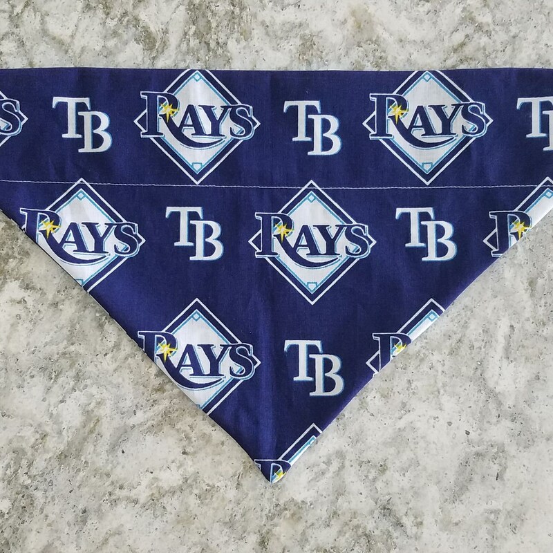 Tampa Bay Rays - Etsy