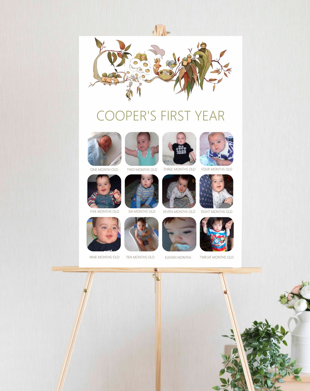 Gumnut Babies Photo Board, 1st Birthday, Milestone Board, Edit and ...