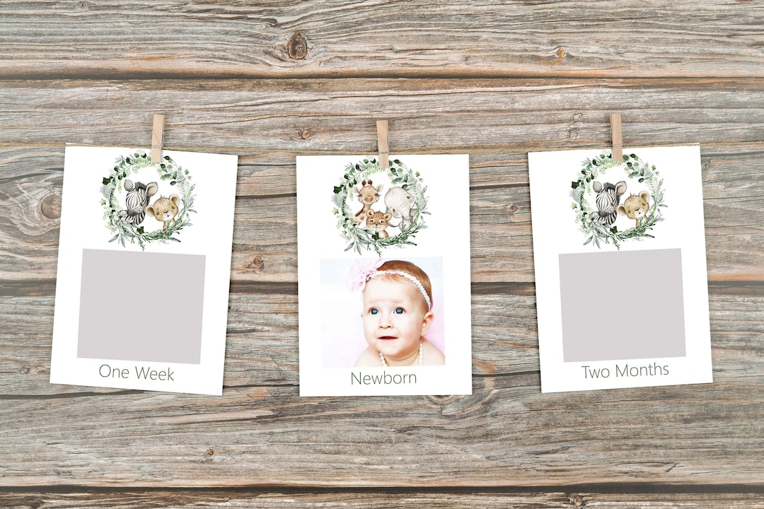 Photo Banner, 1st Birthday Banner, Milestone Banner, 2 Sizes, Safari ...