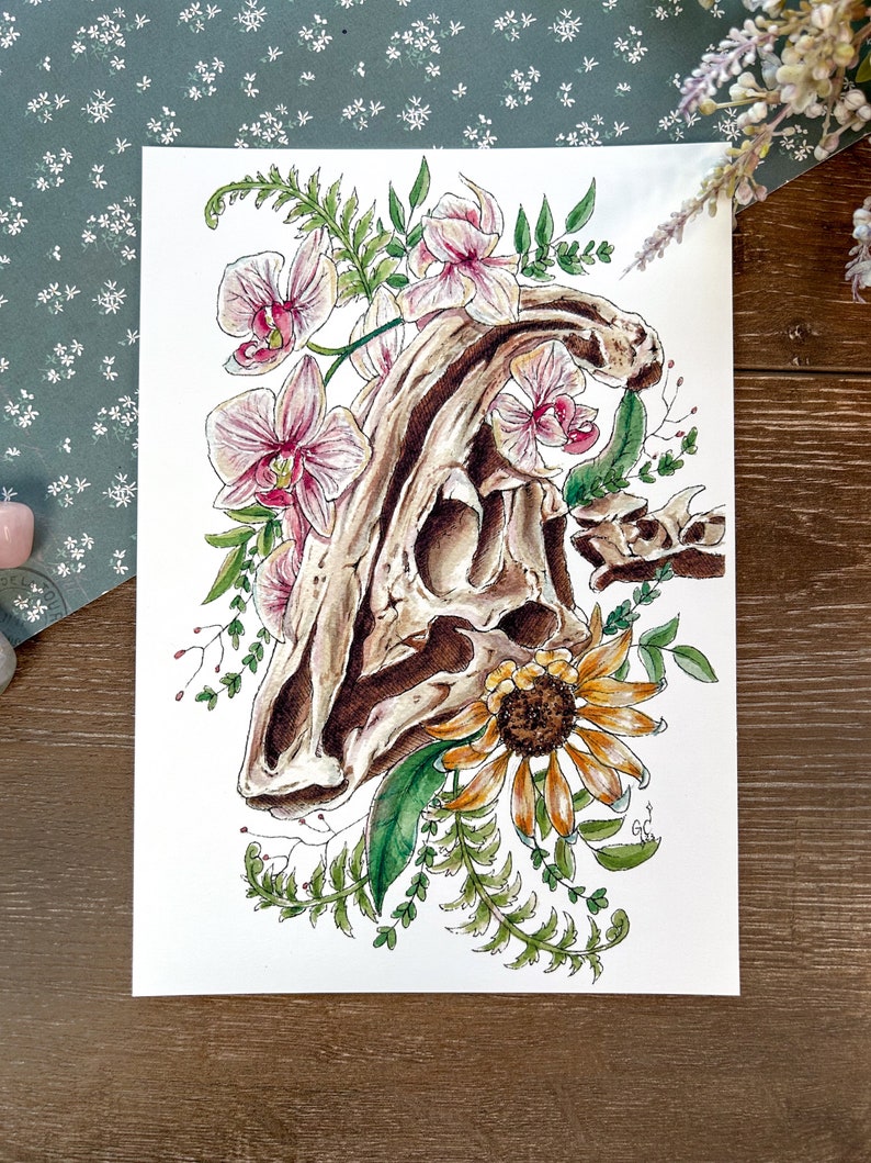 Dinosaur Skull Art Print – Floral Watercolor Paleontology Decor - Etsy