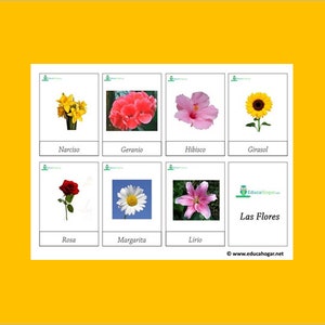200 SPANISH Montessori Cards Bundle - Etsy