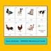 Farm Animals - 15 SPANISH Montessori Cards - Etsy