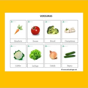 200 SPANISH Montessori Cards Bundle - Etsy