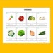 200 SPANISH Montessori Cards Bundle - Etsy