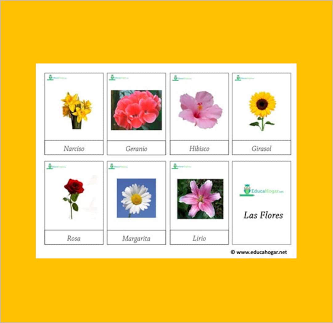Las flores - Tarjetas de 3 partes Montessori - Etsy México