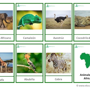 Animals of the World - 120 SPANISH Montessori Cards Classified by ...