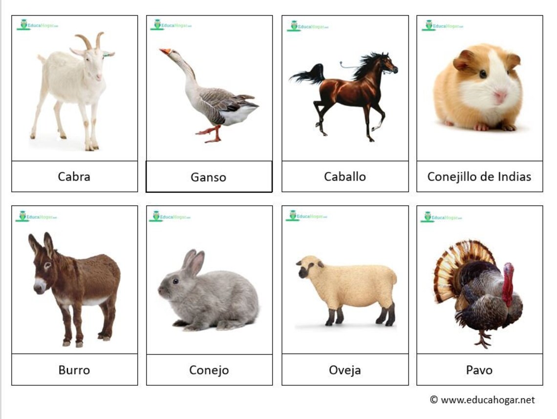 Animales de la granja - Tarjetas Montessori en Español - Etsy México