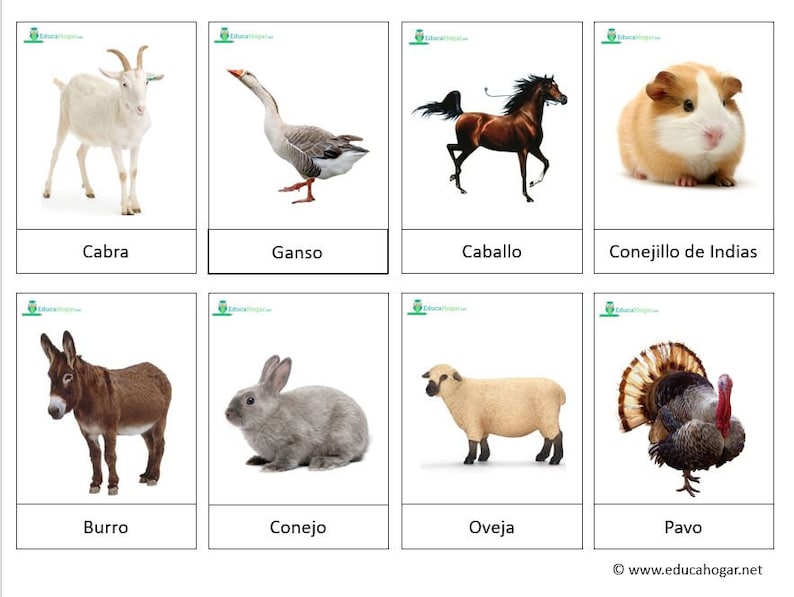 Farm Animals - 15 SPANISH Montessori Cards - Etsy