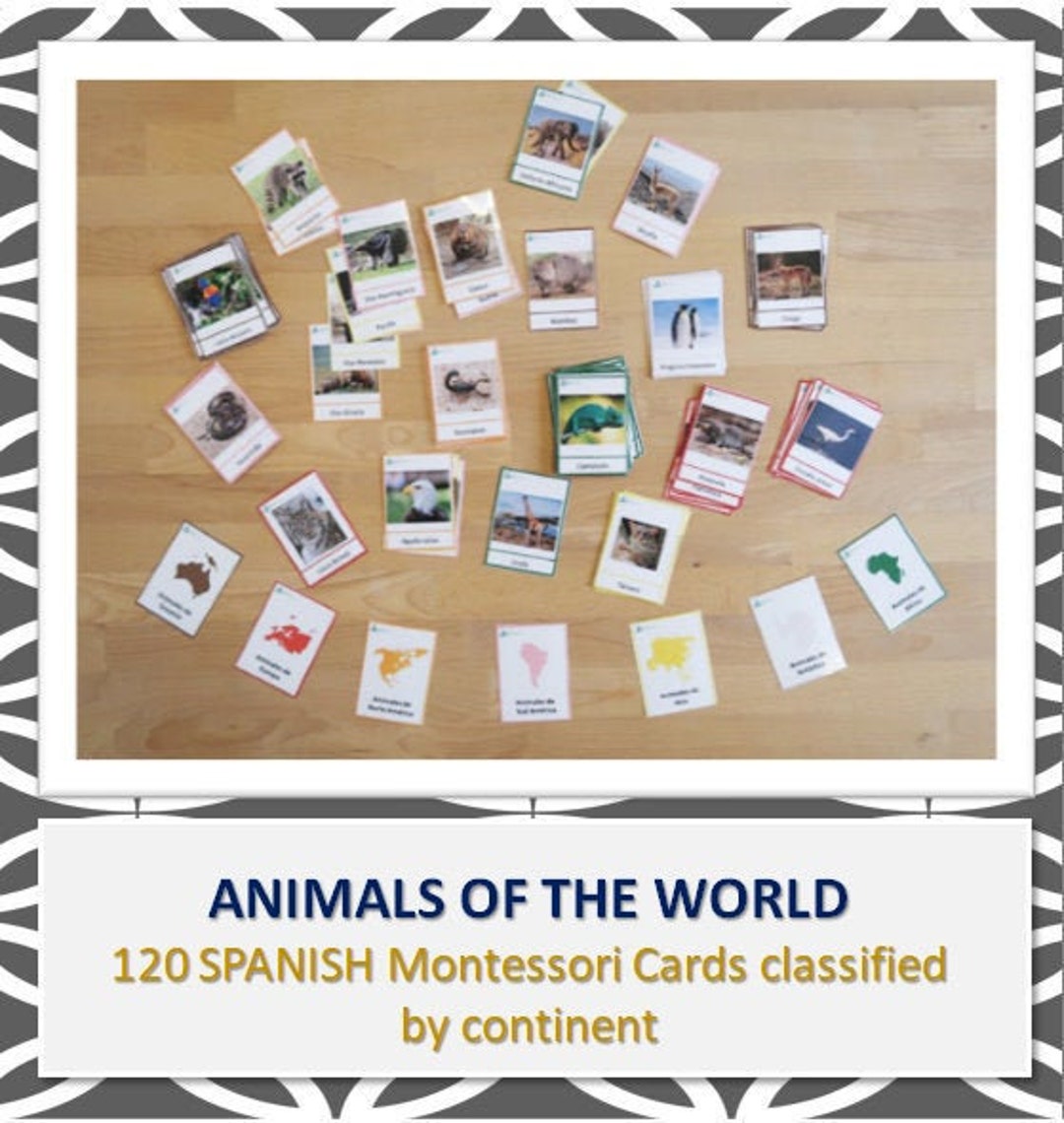 Animals of the World - 120 SPANISH Montessori Cards Classified by ...
