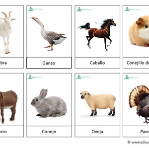 Farm Animals - 15 SPANISH Montessori Cards - Etsy