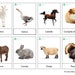 Farm Animals - 15 SPANISH Montessori Cards - Etsy