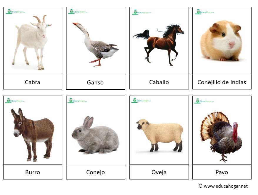 Animales de la granja - Tarjetas Montessori en Español - Etsy México
