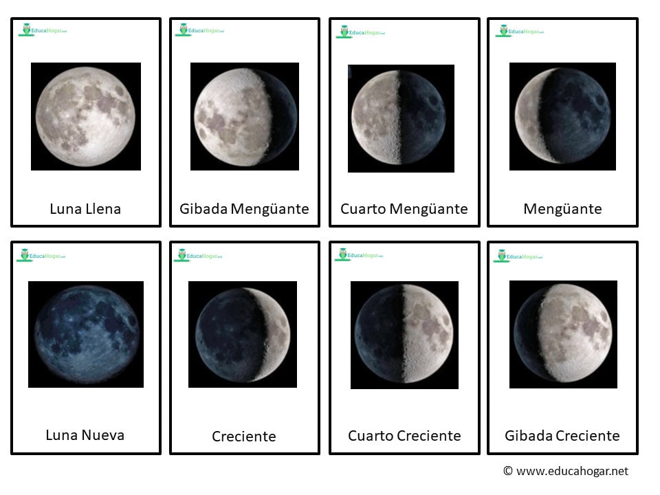 Fases de la luna - ESPAÑOL - Tarjetas Montessori - Etsy México