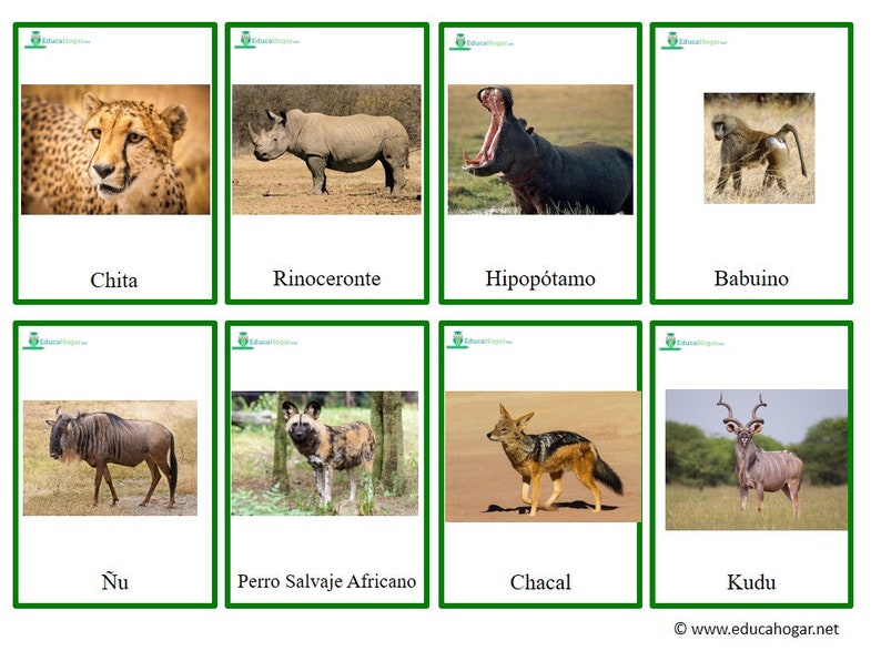 Animales de Africa 24 Tarjetas Montessori - Etsy México