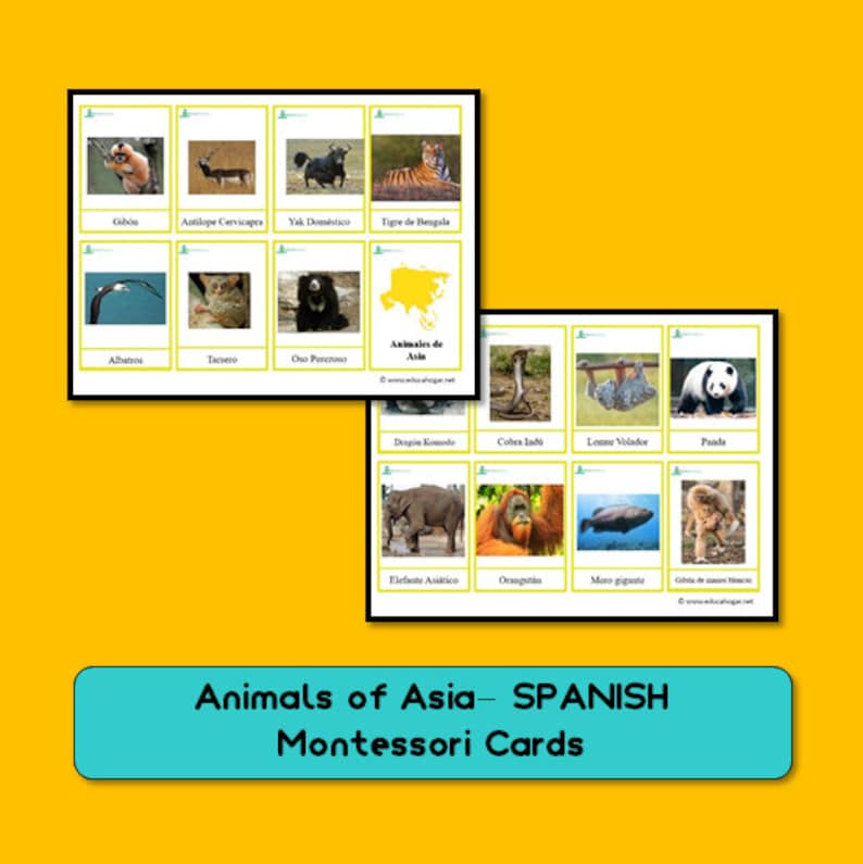 Animals of Asia - 15 SPANISH Montessori Cards - Etsy