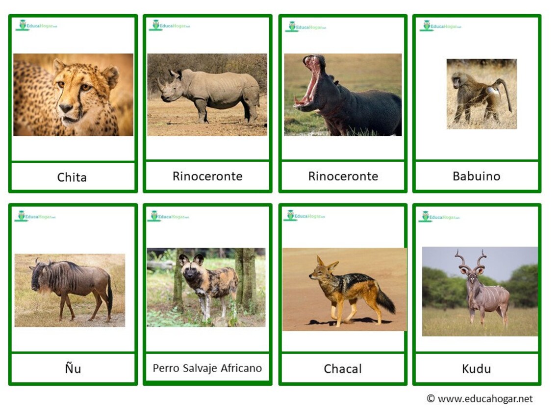 Animals of the World 120 SPANISH Montessori Cards Classified - Etsy