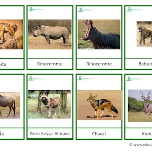Animals of the World - 120 SPANISH Montessori Cards Classified by ...
