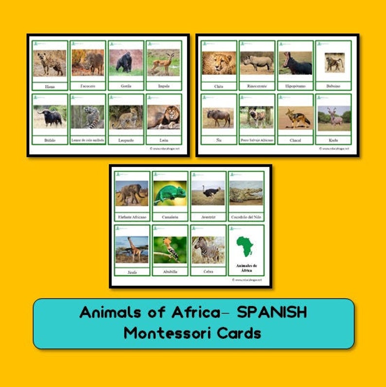 Animales de Africa - 24 Tarjetas Montessori - Etsy México